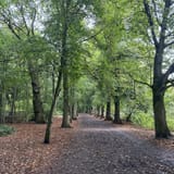 Hampstead Heath Circular, London, England - 1,161 Reviews, Map | AllTrails