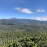 Mount Jackson Trail, New Hampshire - 2,293 Reviews, Map | AllTrails