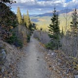 Spruce Creek Loop, Colorado - 1,975 Reviews, Map | AllTrails