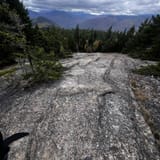 Mount Crawford via Davis Path Trail, New Hampshire - 1,204 Reviews, Map ...