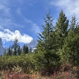 String Lake Trail, Wyoming - 2,604 Reviews, Map | AllTrails