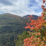 Huckleberry Point Trail, New York - 1,992 Reviews, Map | AllTrails