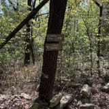 Clinton Lake North Shore Loop, Kansas - 348 Reviews, Map | AllTrails