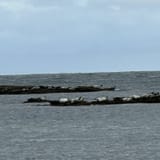 Goose Rocks Beach Walk, Maine - 242 Reviews, Map | AllTrails