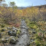 Glymur Waterfall Trail, Western Region, Iceland - 1,859 Reviews, Map ...