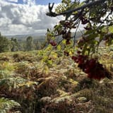 The Drake Stone and Harbottle Castle Circular, Northumberland, England ...