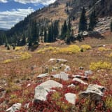 Booth Lake Trail, Colorado - 1,185 Reviews, Map | AllTrails
