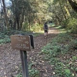 Berry Glen and Lady Bird Grove Trail , California - 589 Reviews, Map ...