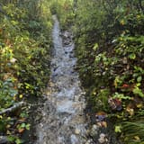 Riprap Trail , Virginia - 1,780 Reviews, Map | AllTrails