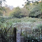 Banstead Woods Nature Circular, Surrey, England - 702 Reviews, Map ...