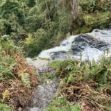 Pistyll Rhaeadr, Powys, Wales - 217 Reviews, Map | AllTrails