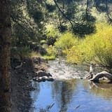 Sagehen Creek Loop, California - 1,097 Reviews, Map | AllTrails