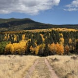 Cheesman Ranch Trail, Colorado - 359 Reviews, Map | AllTrails