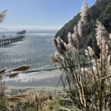 Trinidad Head/Tsurai Loop, California - 1,320 Reviews, Map | AllTrails