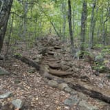 Mount Morgan and Mount Percival Loop, New Hampshire - 4,088 Reviews ...