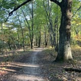 Tobico Marsh Trail, Michigan - 648 Reviews, Map | AllTrails