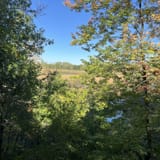 Tobico Marsh Trail, Michigan - 648 Reviews, Map | AllTrails