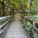 Tobico Marsh Trail, Michigan - 648 Reviews, Map | AllTrails