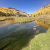 Elk Creek Trail, Colorado - 224 Reviews, Map | AllTrails