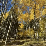 Elk Creek Trail, Colorado - 224 Reviews, Map | AllTrails
