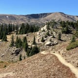 Mount Chapin, Chiquita, and Ypsilon Mountain via Chapin Pass Trail ...