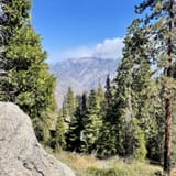 Boole Tree Loop, California - 193 Reviews, Map | AllTrails