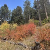 Mount Herman Trail, Colorado - 1,835 Reviews, Map | AllTrails