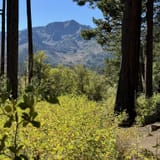 Fallen Leaf Lake Trail, California - 1,493 Reviews, Map | AllTrails
