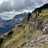 Wind Ridge Trail, Alberta, Canada - 1,397 Reviews, Map | AllTrails