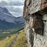 Wind Ridge Trail, Alberta, Canada - 1,422 Reviews, Map | AllTrails