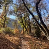 Red Lake Trail, Utah - 293 Reviews, Map | AllTrails