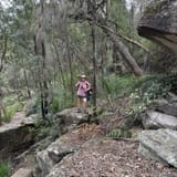 Lane Cove Riverside Walk, New South Wales, Australia - 1,811 Reviews ...