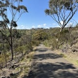 Organ Pipes, Rosette Rock and Tesselated Pavement Circuit, Victoria ...