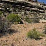 Trail Through Time, Colorado - 328 Reviews, Map | AllTrails