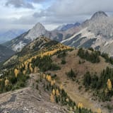 Pocaterra Ridge, Alberta, Canada - 1,187 Reviews, Map | AllTrails