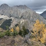 Pocaterra Ridge, Alberta, Canada - 1,188 Reviews, Map | AllTrails