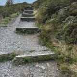 Nicky Nook Circular, Lancashire, England - 1,242 Reviews, Map | AllTrails