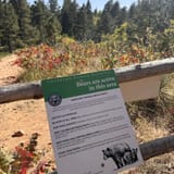 Fowler Trail, Colorado - 2,820 Reviews, Map | AllTrails
