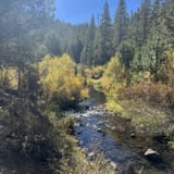 Sagehen Creek Loop, California - 1,098 Reviews, Map | AllTrails