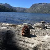 Fallen Leaf Lake Trail, California - 1,493 Reviews, Map | AllTrails