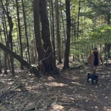 Mount Watatic, Massachusetts - 1,656 Reviews, Map | AllTrails