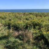 Sachuest Point National Wildlife Refuge Trail, Rhode Island - 2,054 ...