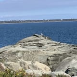 Sachuest Point National Wildlife Refuge Trail, Rhode Island - 2,054 ...
