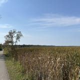 Tobico Marsh Trail, Michigan - 648 Reviews, Map | AllTrails