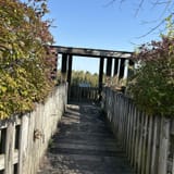 Tobico Marsh Trail, Michigan - 648 Reviews, Map | AllTrails