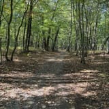 Tobico Marsh Trail, Michigan - 648 Reviews, Map | AllTrails