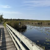 Tobico Marsh Trail, Michigan - 648 Reviews, Map | AllTrails