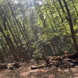 Provin Park Trail, Michigan - 810 Reviews, Map | AllTrails