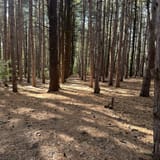 Provin Park Trail, Michigan - 810 Reviews, Map | AllTrails