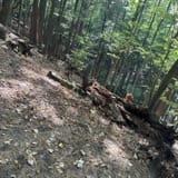 Provin Park Trail, Michigan - 810 Reviews, Map | AllTrails